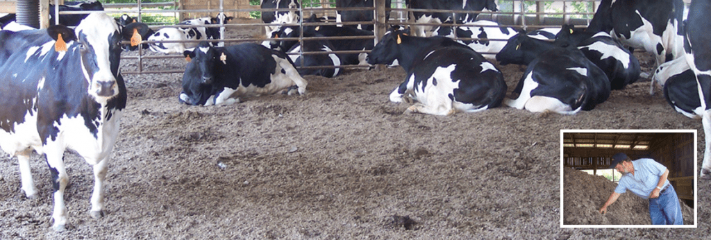 Paper Fiber Bedding | Resource Management Inc.